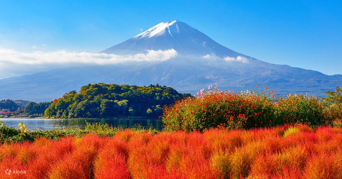 [Solo per le quattro stagioni] Tour di un giorno del Monte Fuji｜Parco ...